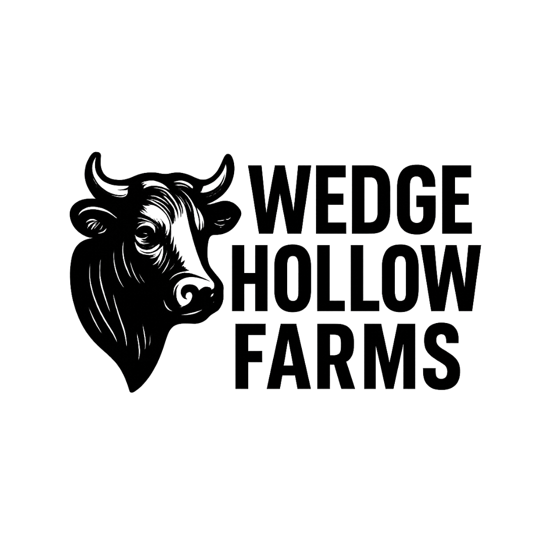 Home page – My Store